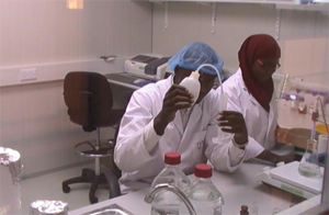National Biotechnology Development Agency | Welcome
