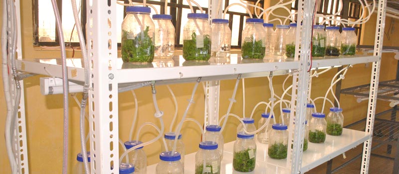 National Biotechnology Development Agency | Welcome